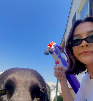 representation | sparkmedia